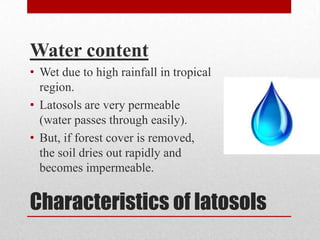Tropical Latosols - Soils | PPTX