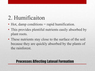 Tropical Latosols - Soils | PPTX
