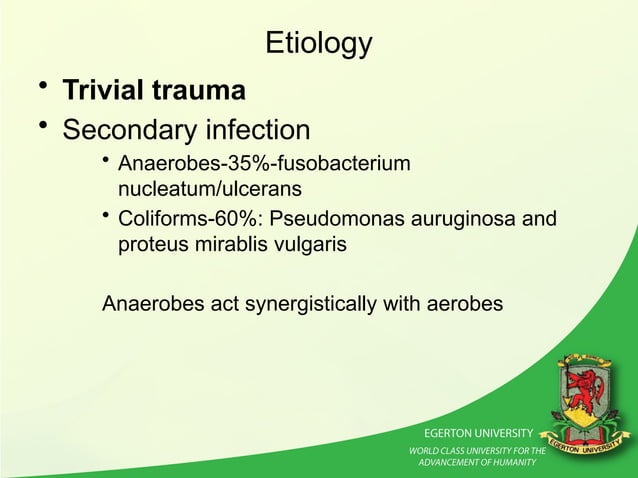 Tropical leg ulcers in adults and children.pptx