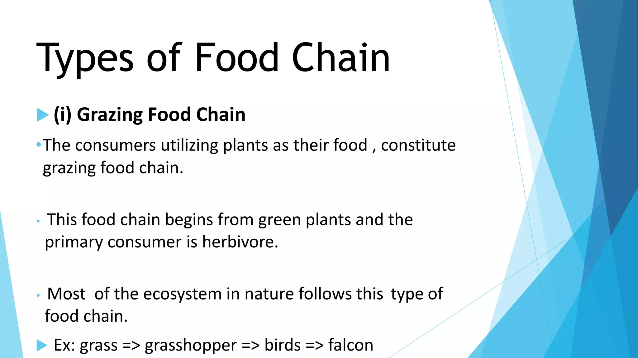 Tropical levels and food chains | PPTX