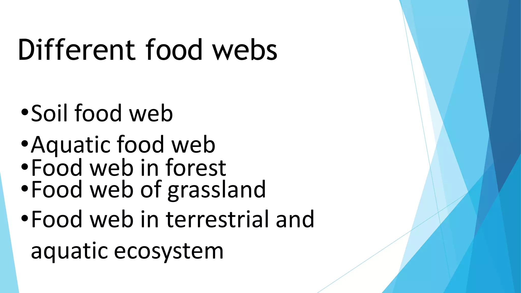 Tropical levels and food chains | PPTX