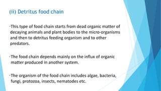Tropical levels and food chains | PPT
