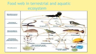 Tropical levels and food chains | PPT