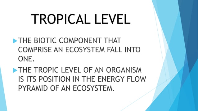 Tropical levels and food chains | PPT
