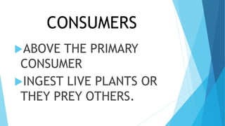 Tropical levels and food chains | PPT