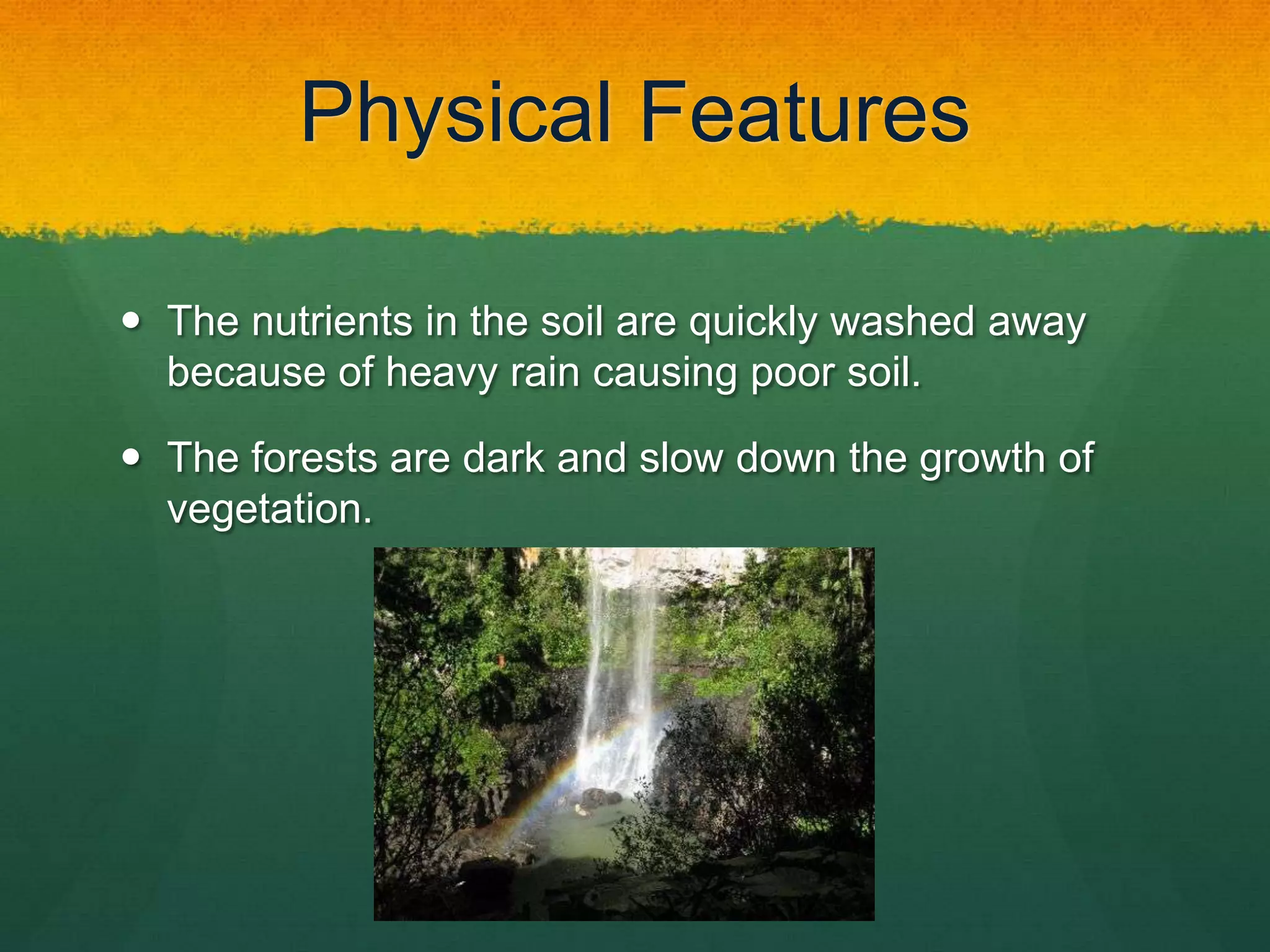 Tropical rainforest | PPTX