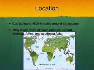 Tropical rainforest | PPTX