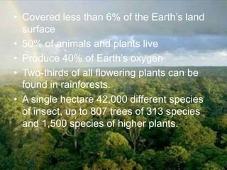 Tropical rainforest | PPT