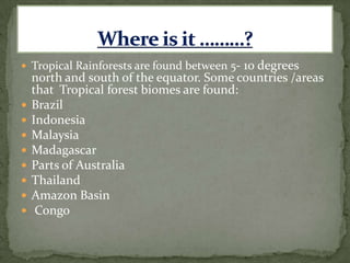 Tropical rainforest | PPTX