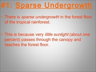 Tropical rainforest | PPT