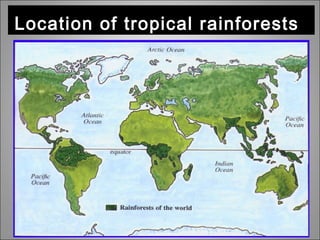 Tropical Rainforest Map