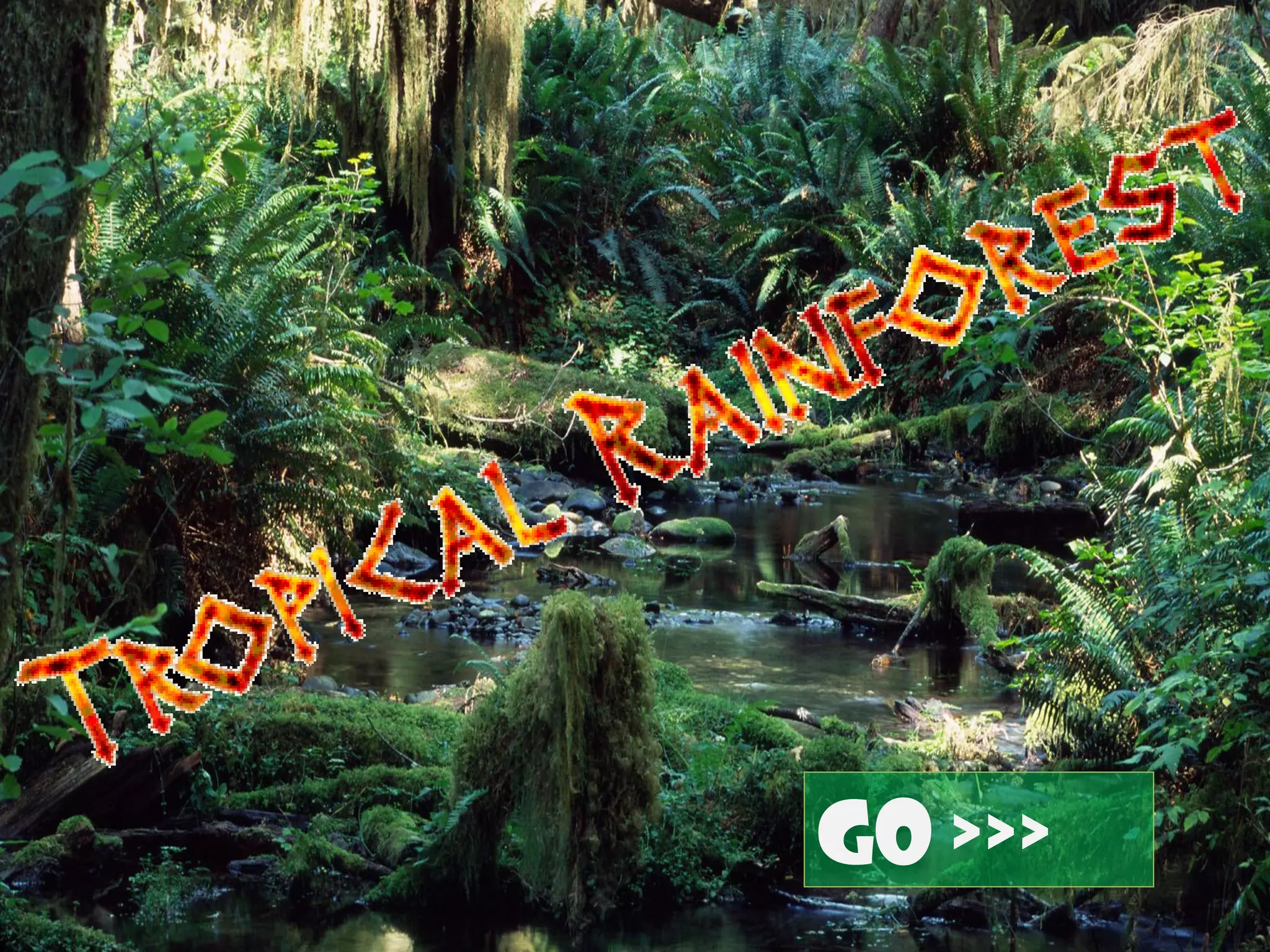 Tropical Rainforest Biome | PPT