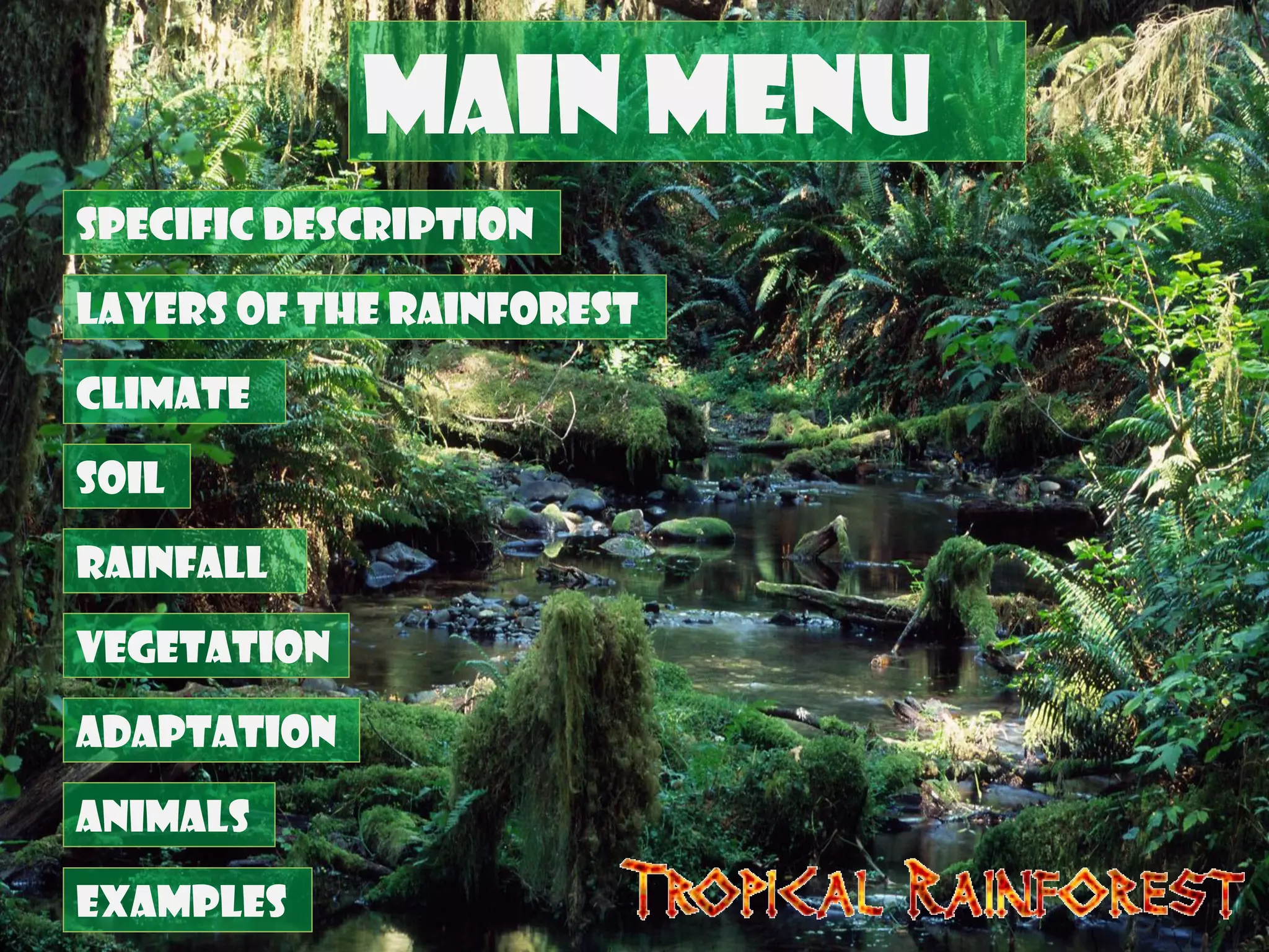 Tropical Rainforest Biome | PPT