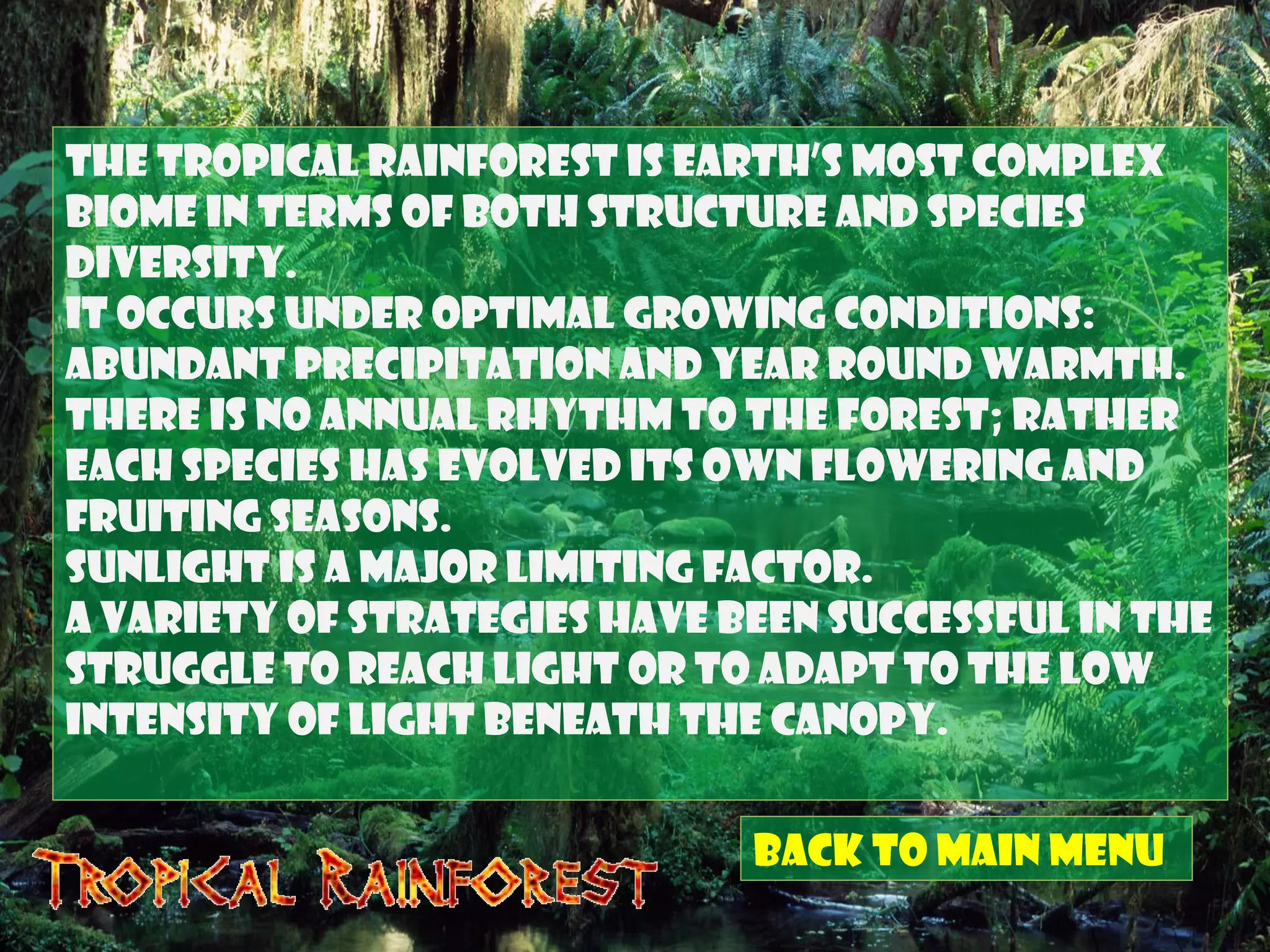 Tropical Rainforest Biome | PPT