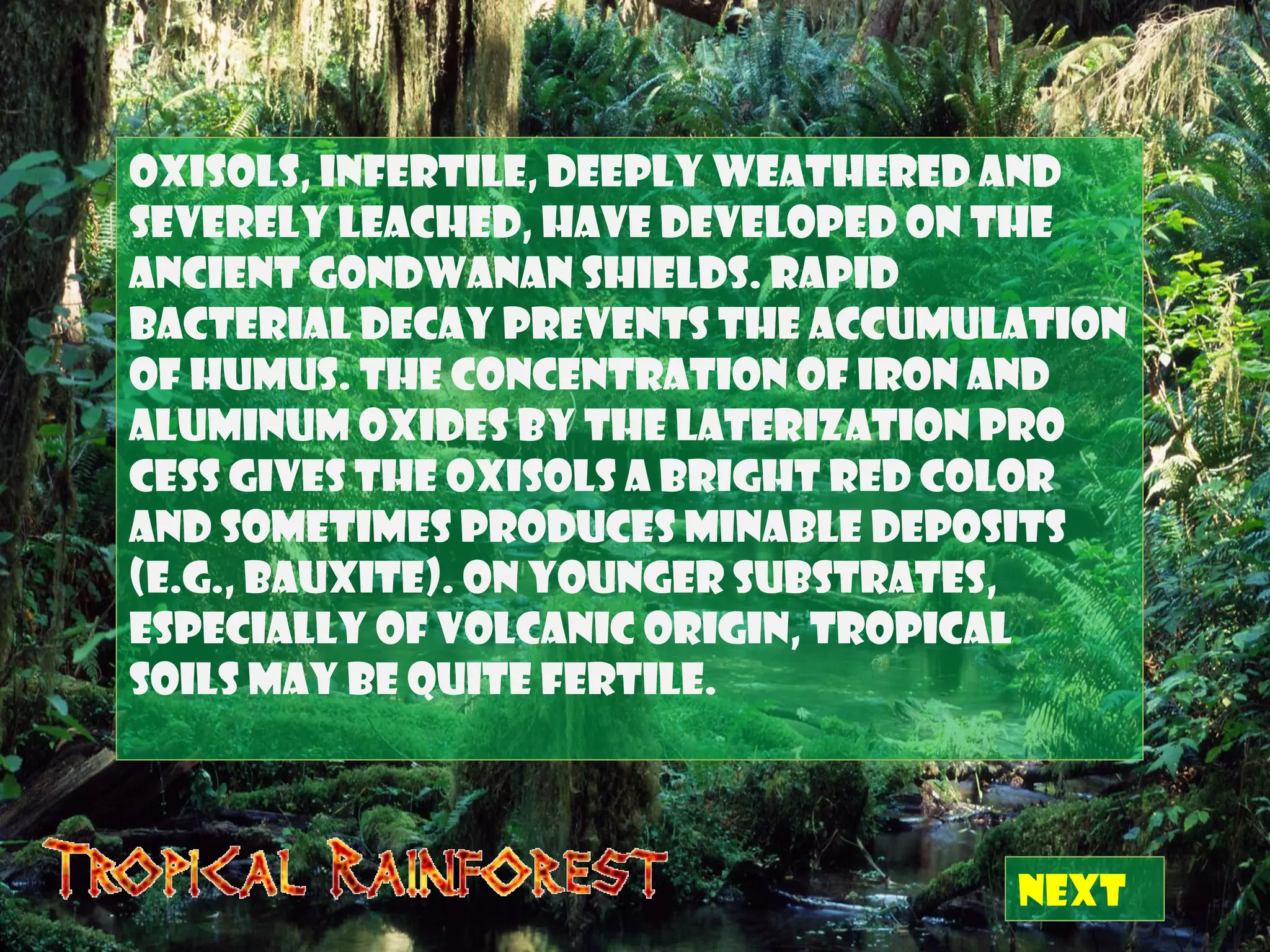 Tropical Rainforest Biome | PPT