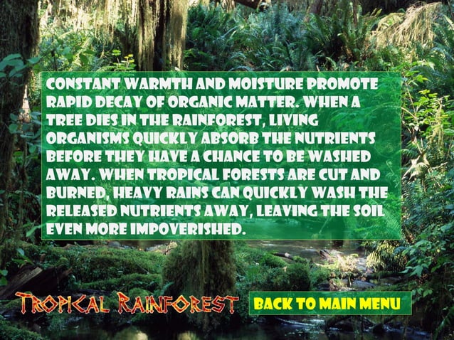 Tropical Rainforest Biome | PPT