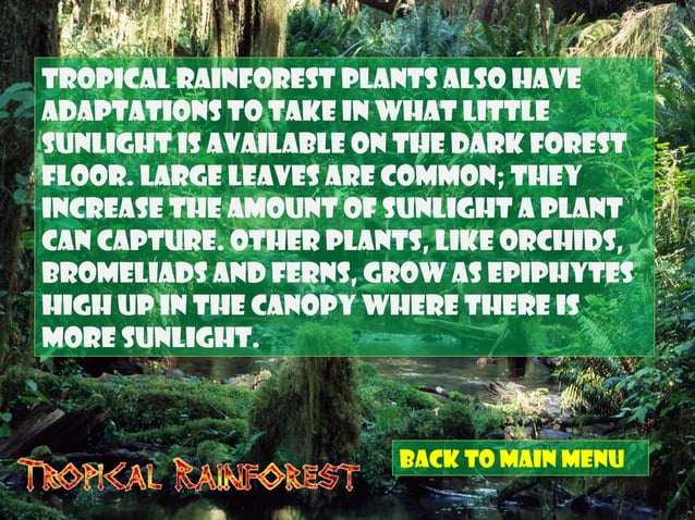 Tropical Rainforest Biome | PPT