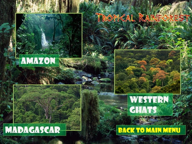 Tropical Rainforest Biome | PPT