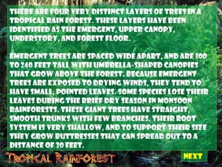 Tropical Rainforest Biome | PPT