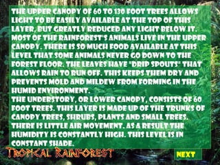 Tropical Rainforest Biome | PPT