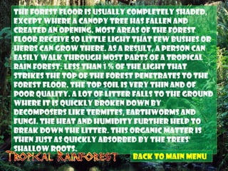 Tropical Rainforest Biome | PPT