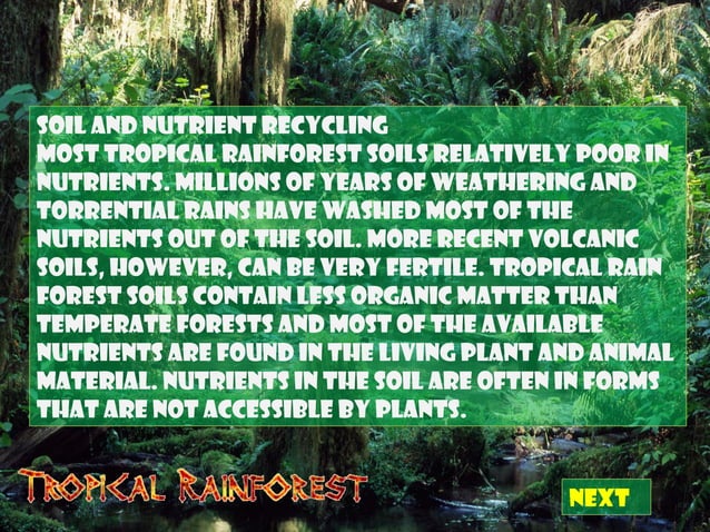 Tropical Rainforest Biome | PPT