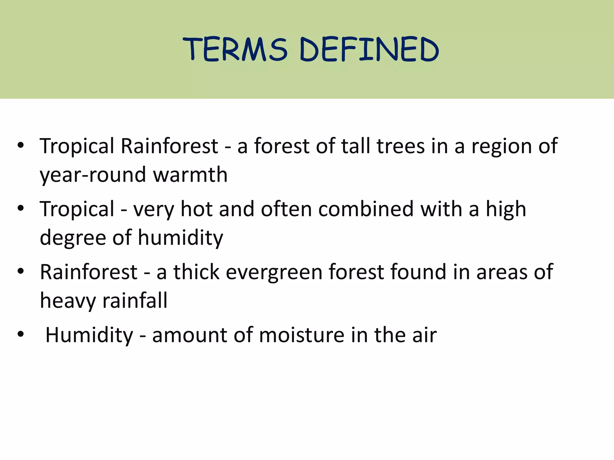 TROPICAL RAINFOREST | PPTX