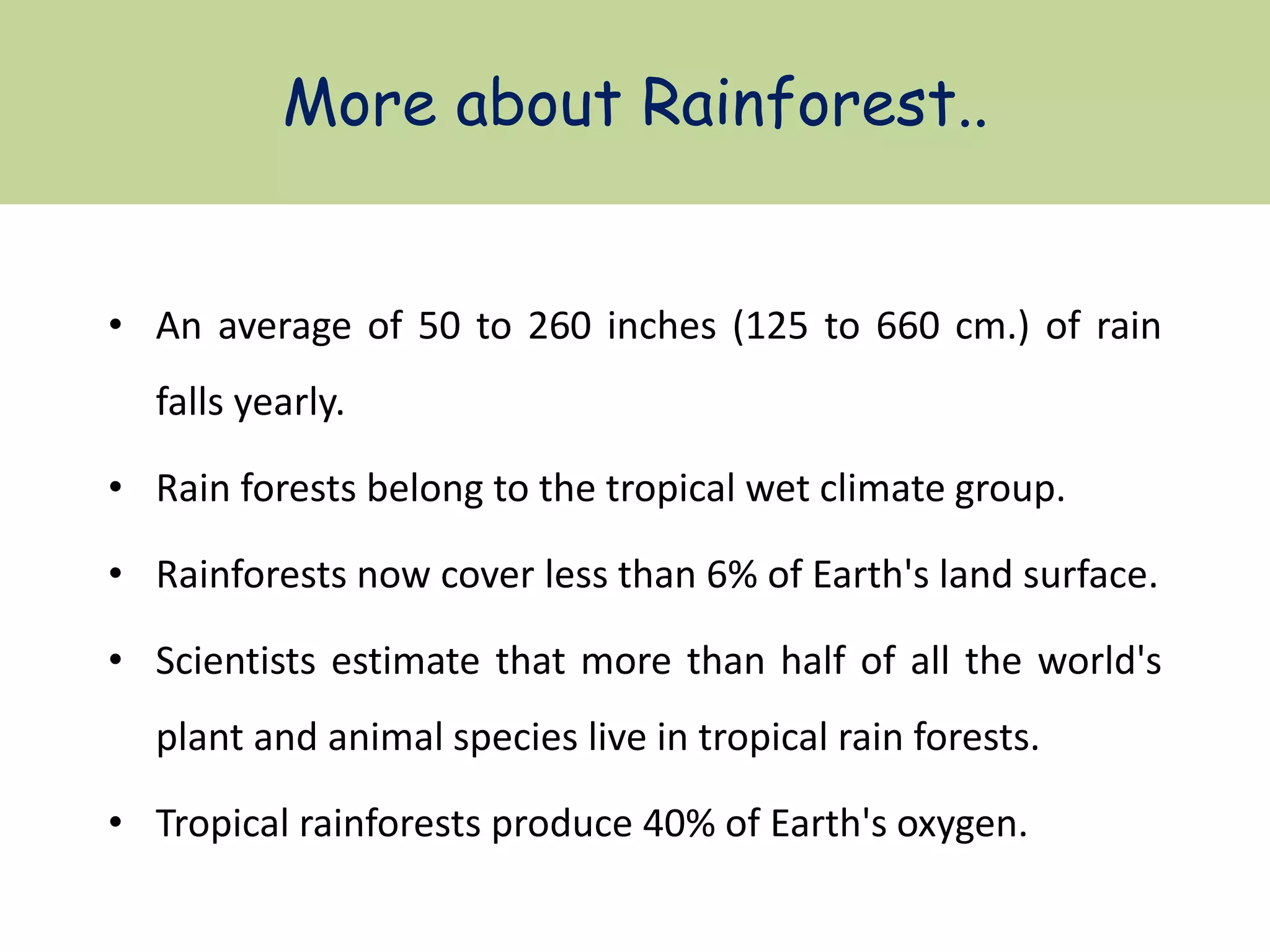 TROPICAL RAINFOREST | PPTX