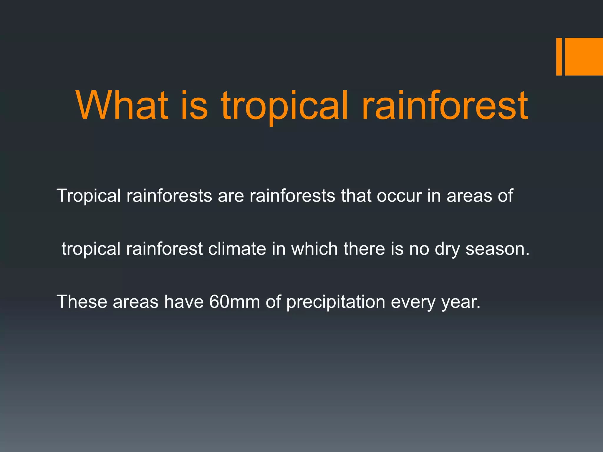Tropical rainforest | PPT