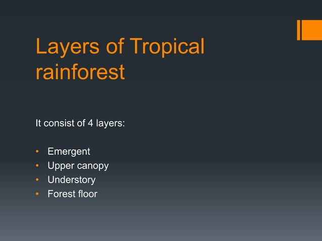 Tropical rainforest | PPT