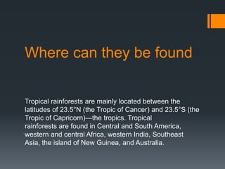 Tropical rainforest | PPT