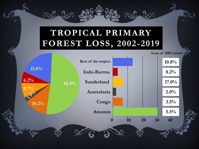 Tropical rain forest | PPT