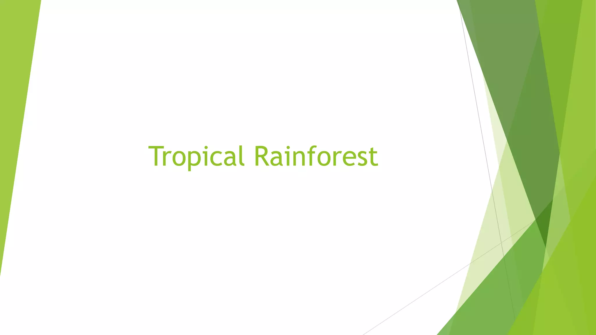 Tropical Rainforest.pptx