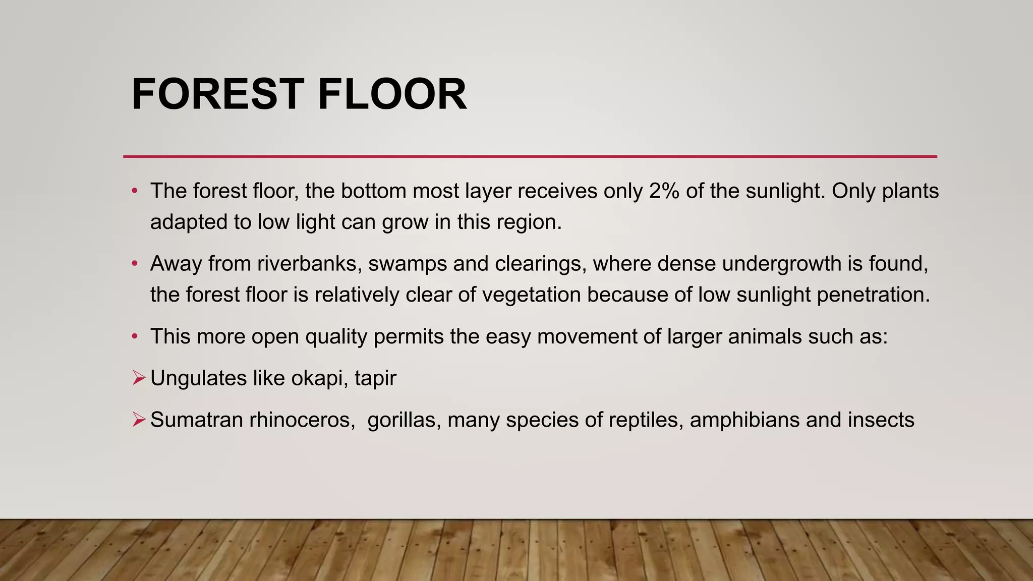 Tropical rainforest | PPTX
