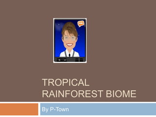 Tropical rainforest biome | PPTX | South America Travel | Travel Locations