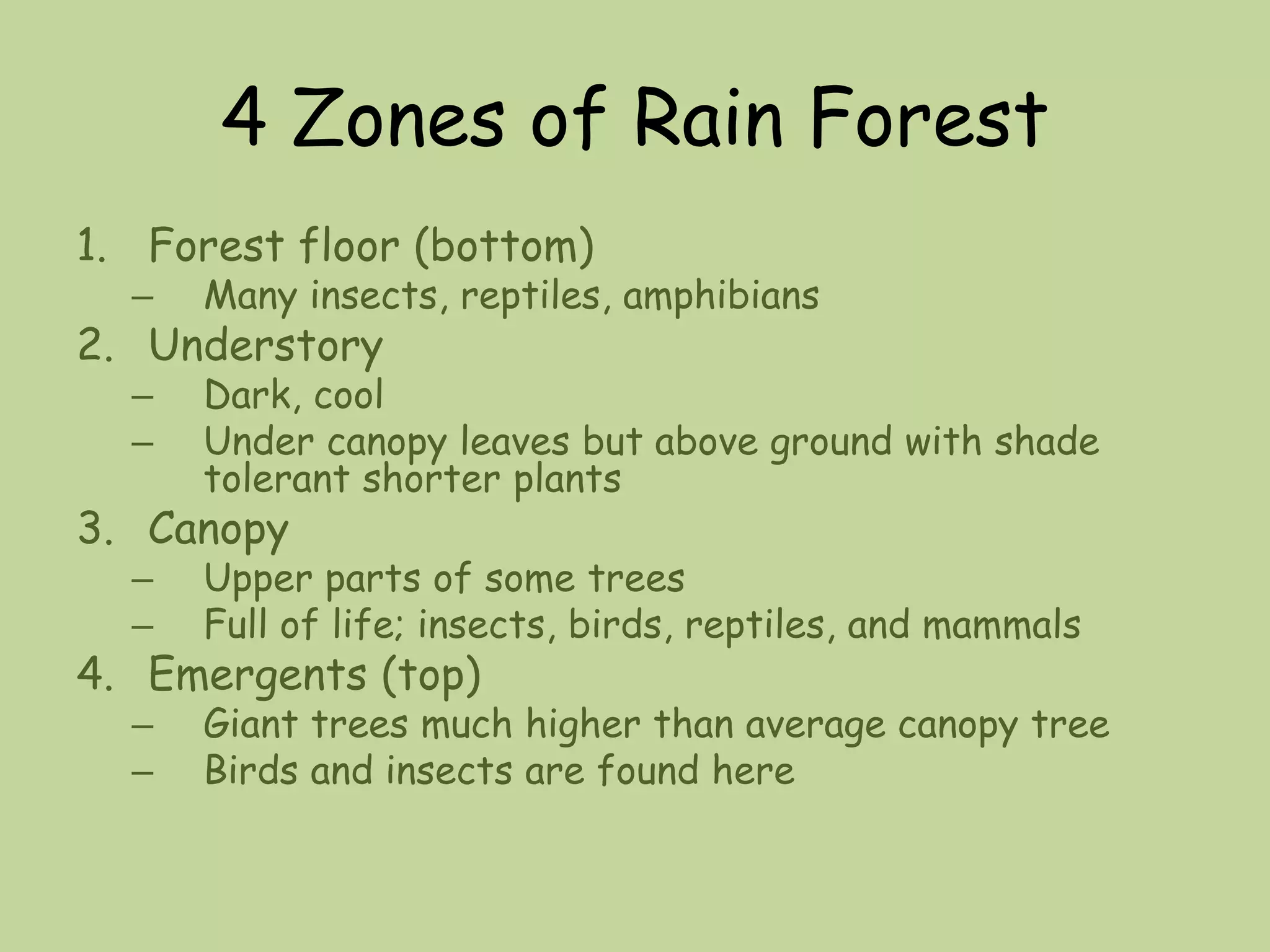 Tropical rain forest_biome no owl | PPTX
