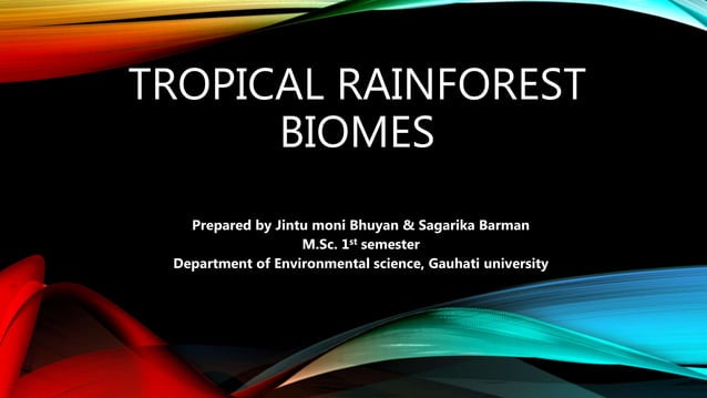 Tropical rainforest biomes | PPT