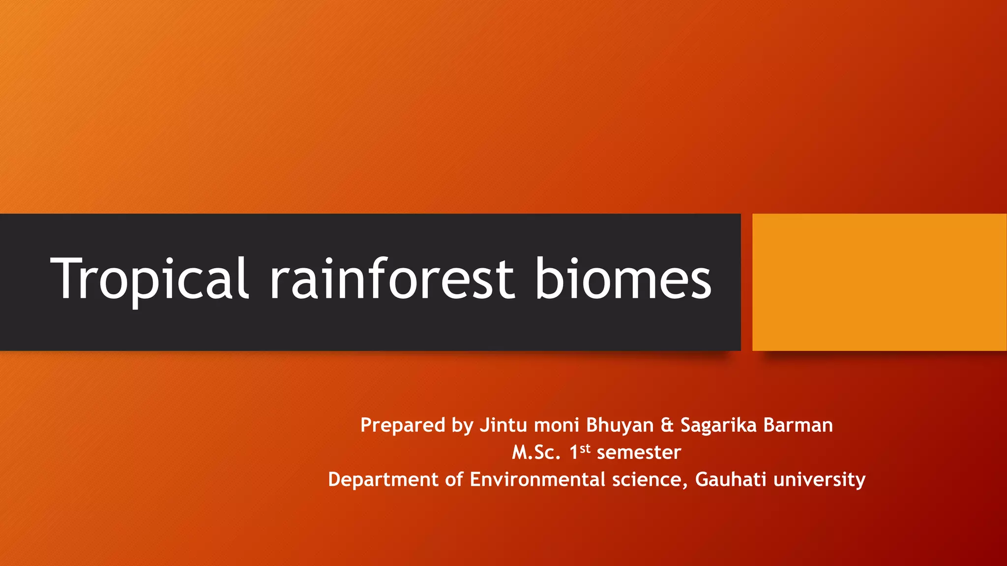 Tropical rainforest biomes | PPTX