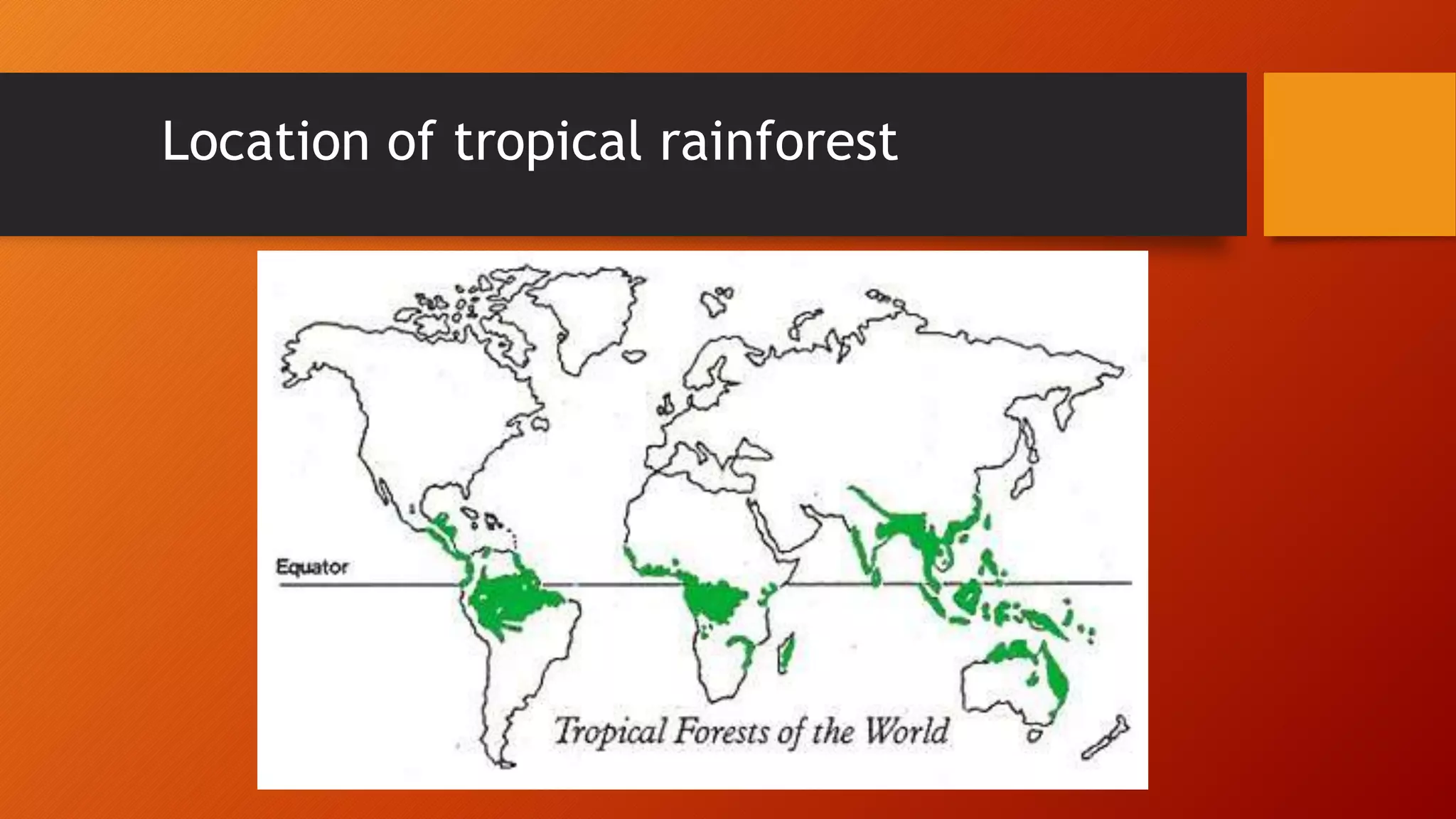 Tropical rainforest biomes | PPTX