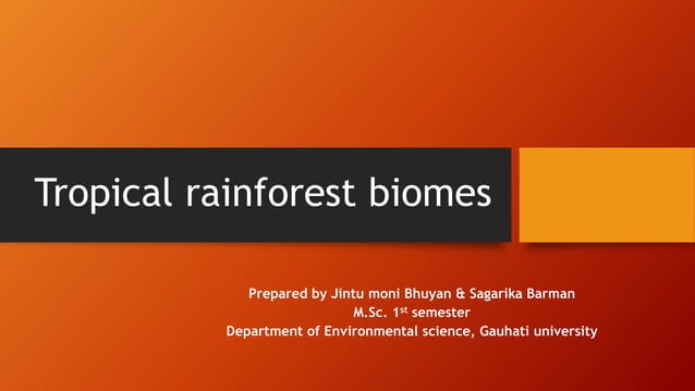 Tropical rainforest biomes | PPTX | Weather | Science