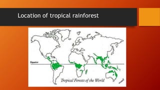 Tropical rainforest biomes | PPTX