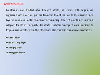 Tropical rain forest extent and characteristics | PPT