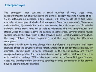 Tropical rain forest extent and characteristics | PPT