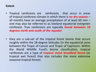 Tropical rain forest extent and characteristics | PPT