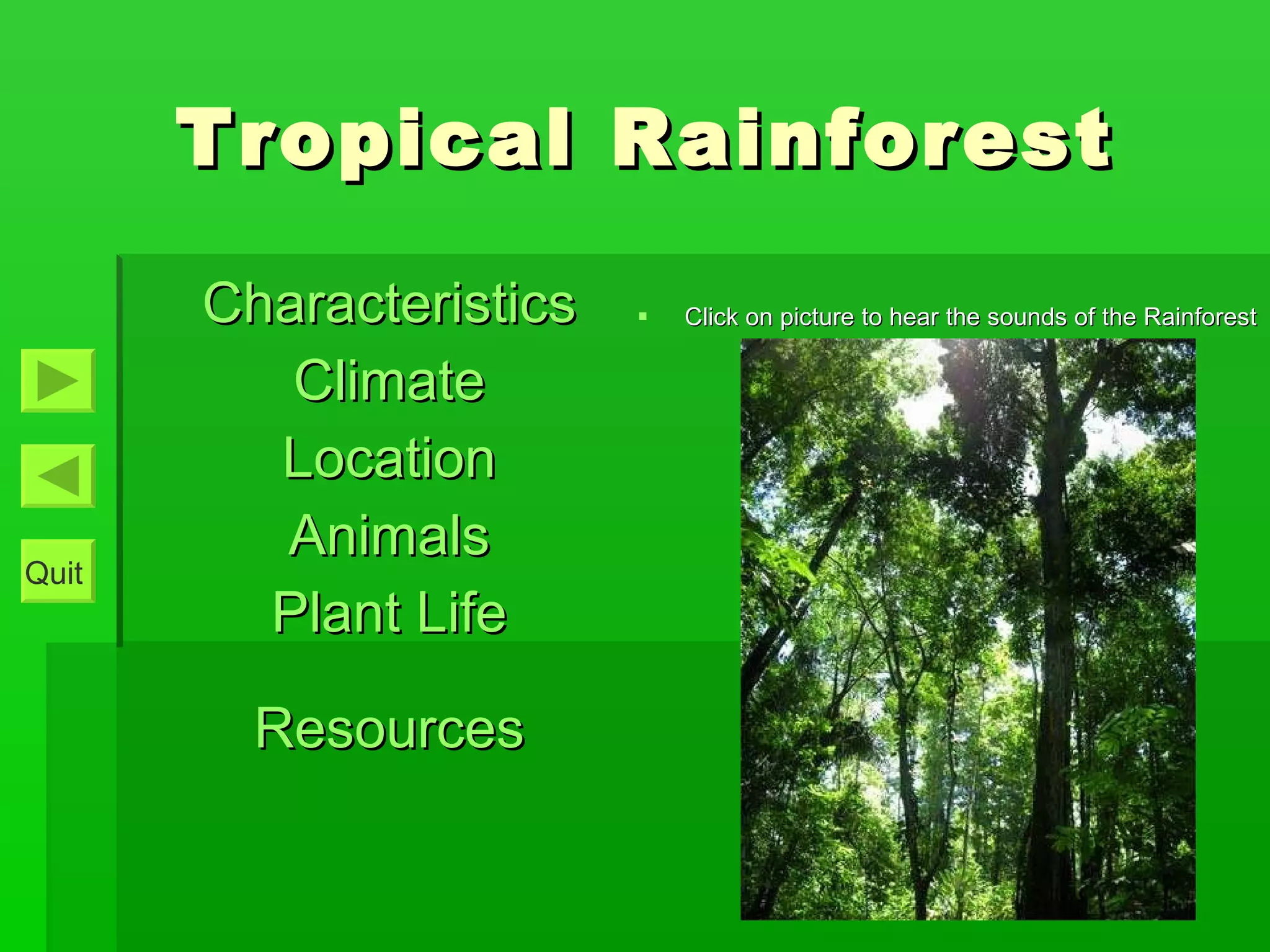 Tropical Rainforest Interactive Pp | PPT