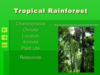 Tropical Rainforest Interactive Pp | PPT