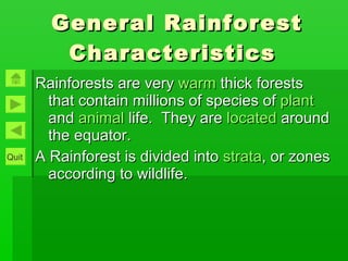 Tropical Rainforest Interactive Pp | PPT