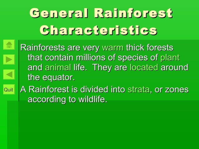 Tropical Rainforest Interactive Pp | PPT
