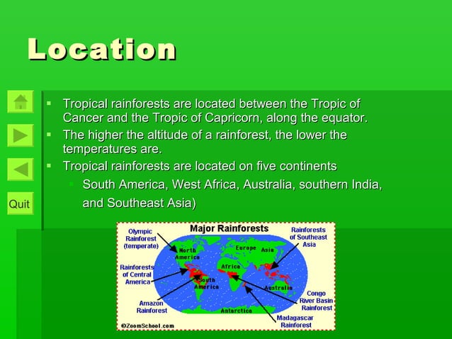Tropical Rainforest Interactive Pp | PPT
