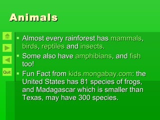 Tropical Rainforest Interactive Pp | PPT